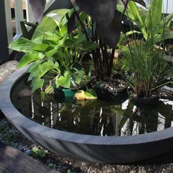 Simple Water Features for Small Spaces | Kulak's Nursery & Landscaping